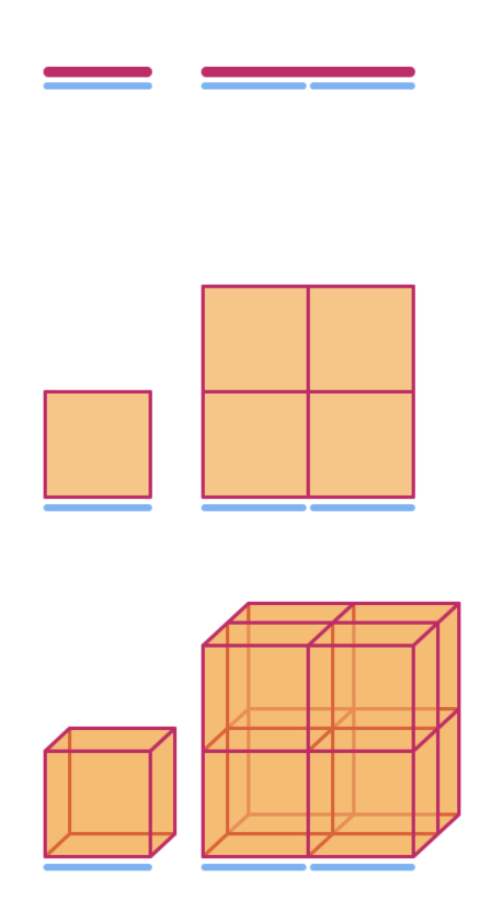 Fractals – Polypad